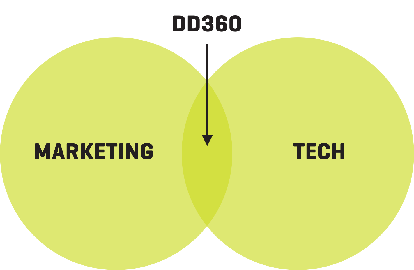 Digital Dynamics 360 | About Us